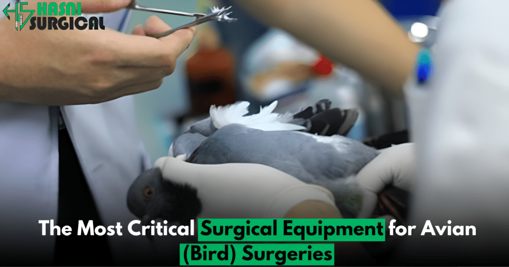 The 3 Most Critical Surgical Equipment for Bird Surgeries - Hasni Surgical