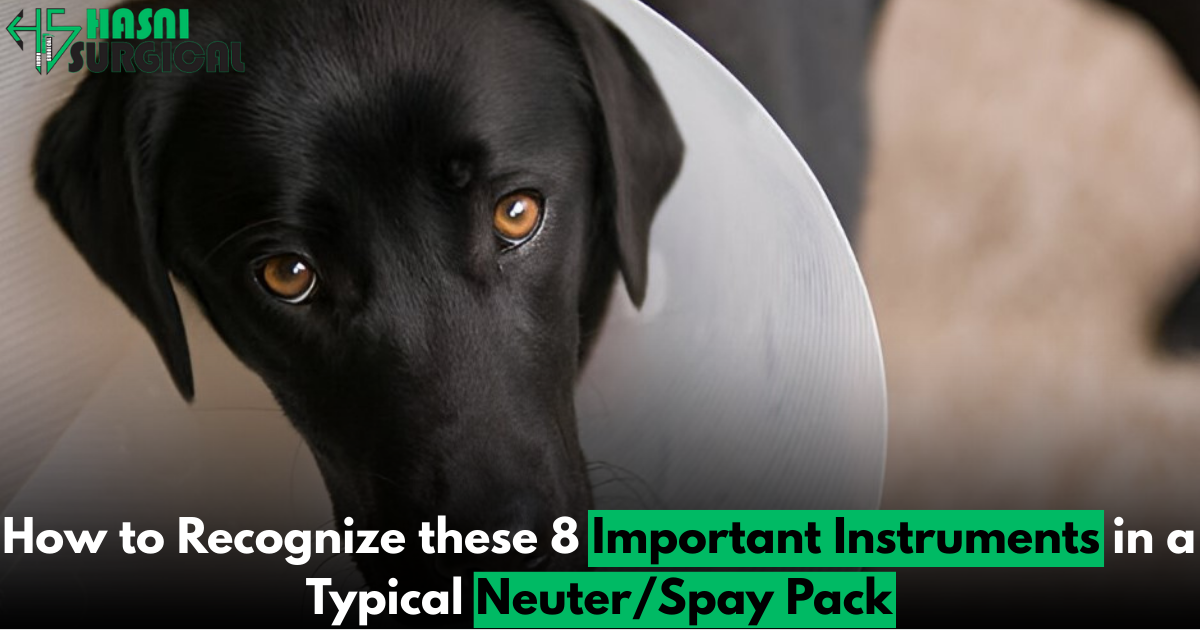 How to Recognize these 8 Important Instruments in a Typical Neuter/Spay ...